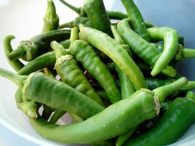 Picazón en el ano: causas