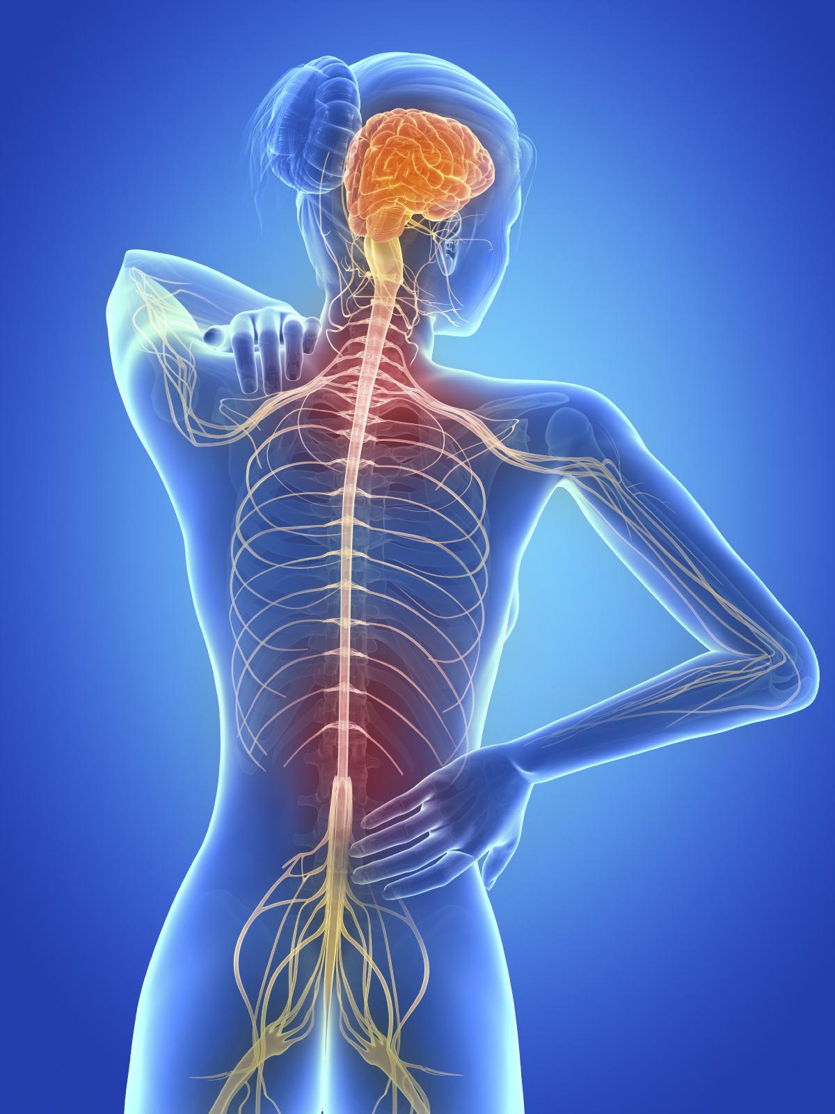 Esclerosis múltiple: tipos, síntomas y tratamiento