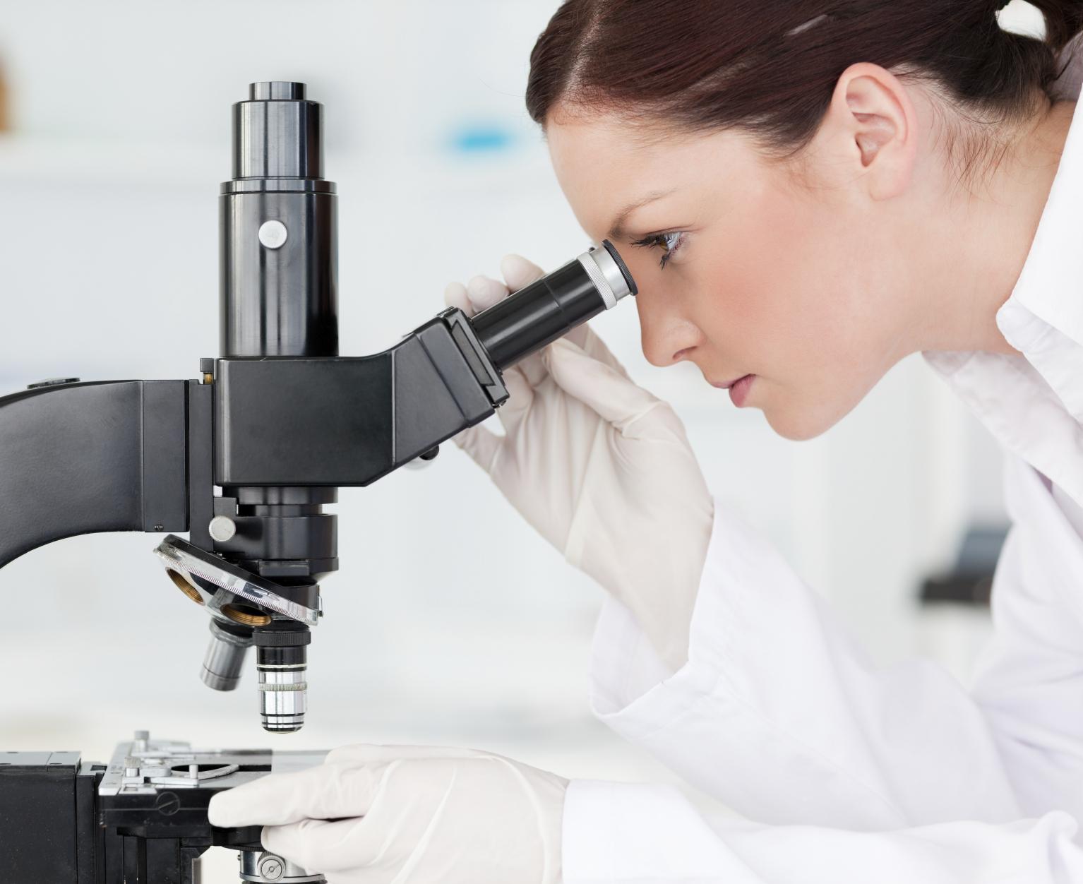 Definición de anatomía microscópica