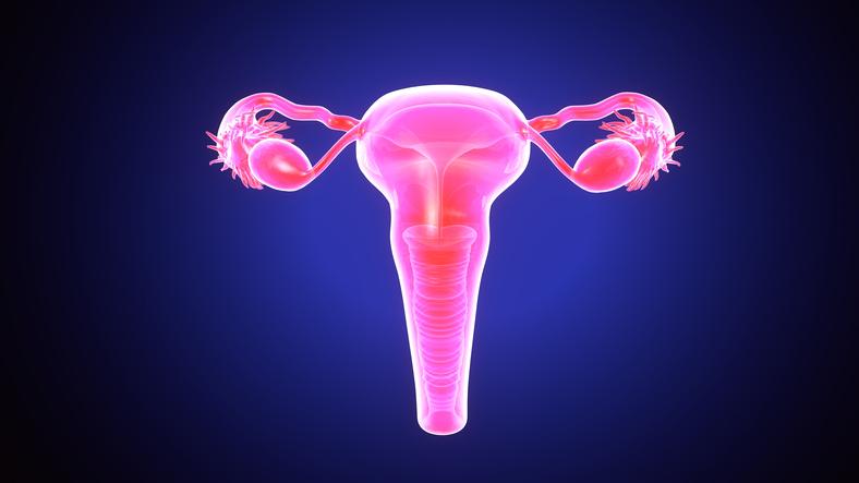 Útero caído: síntomas, tratamiento y consecuencias